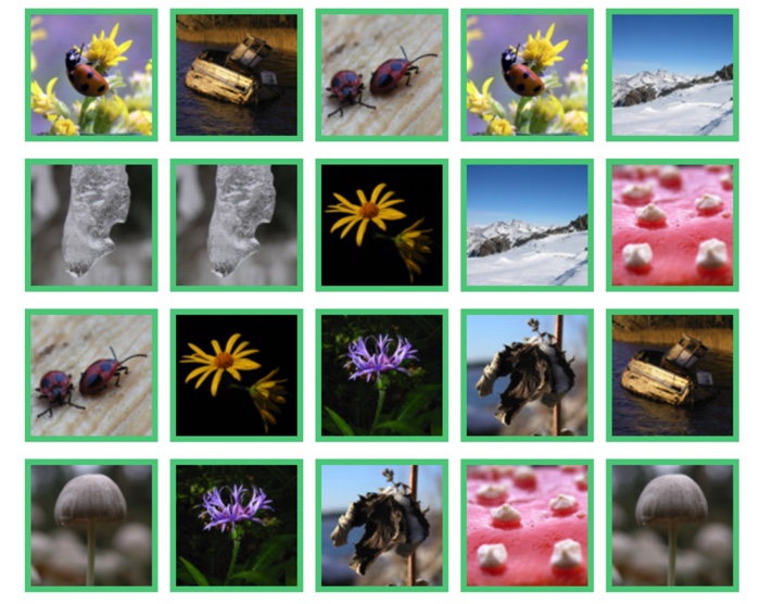 A memory game with React – Thingsmatic